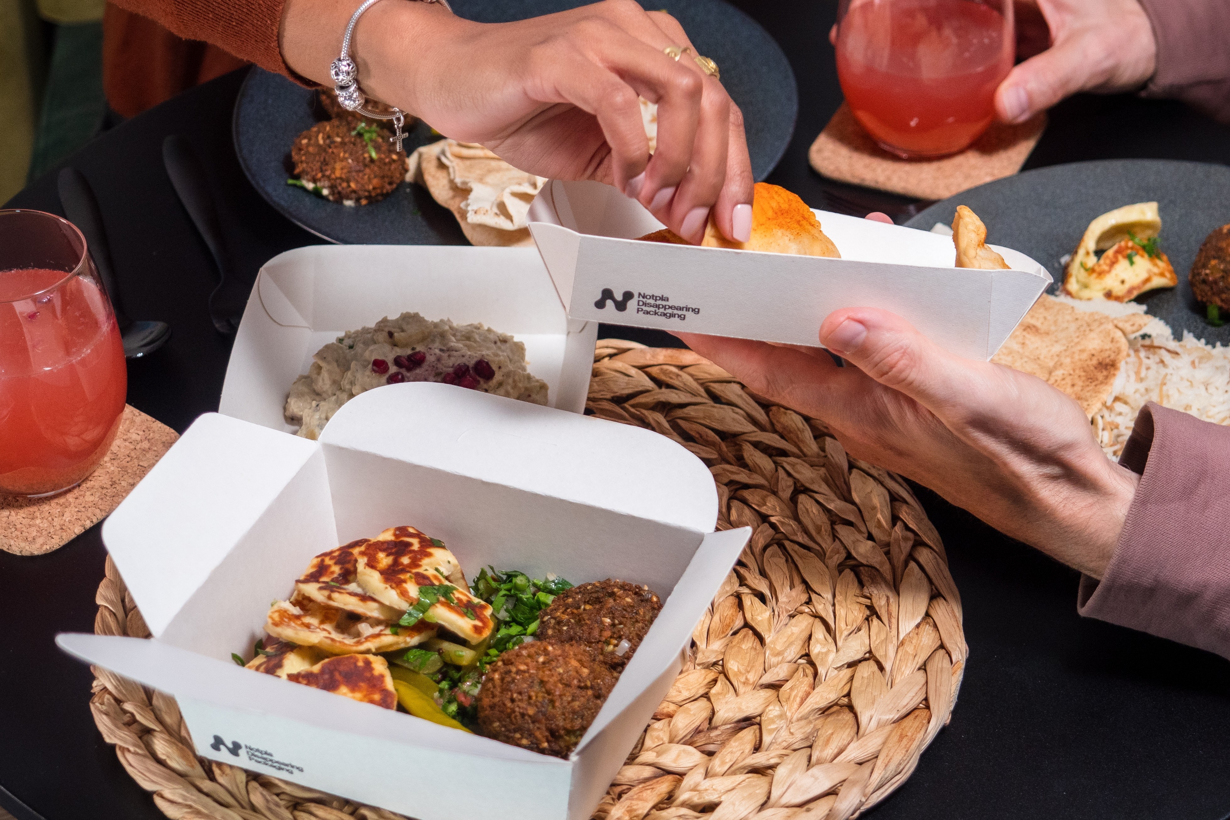 Notpla Logos & Brand Assets | Brandfetch