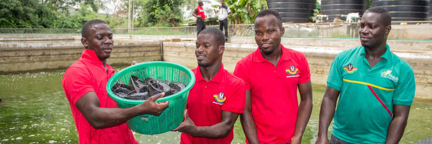 nssghana Logo & Brand Assets (SVG, PNG and vector) - Brandfetch