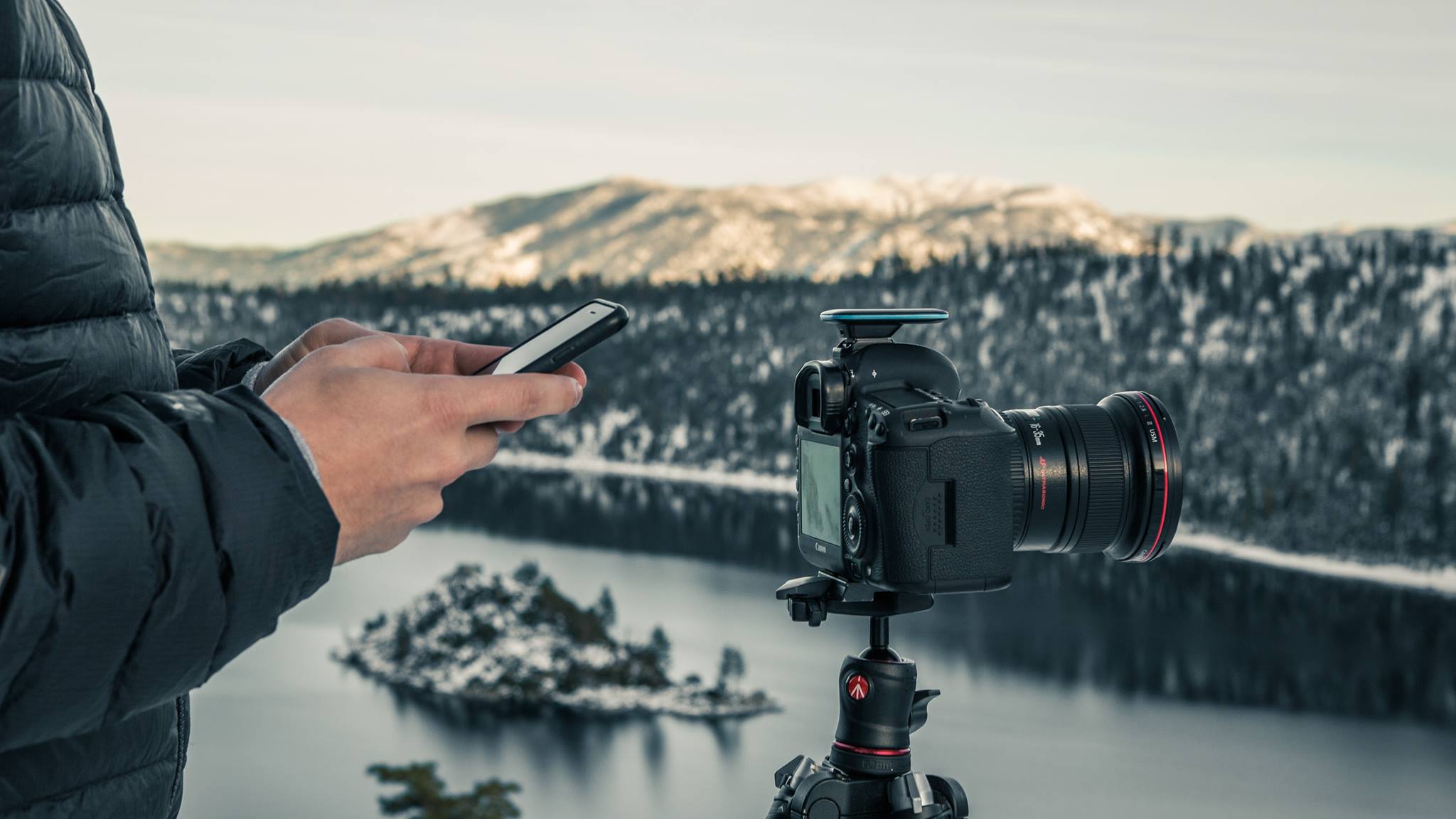 Brandfetch | Alpine Labs Logos & Brand Assets