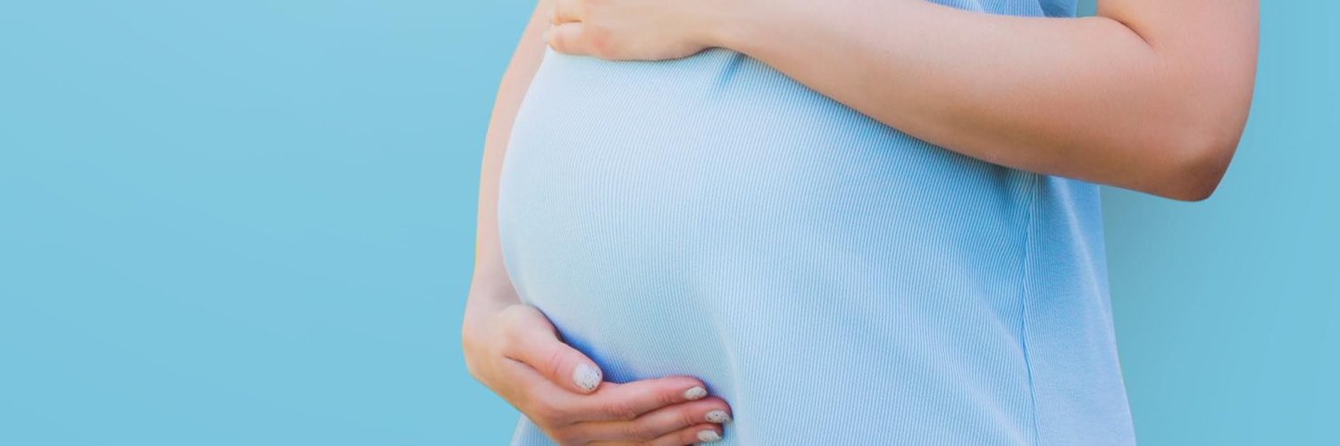 Proyecto Nacer Inc Logos & Brand Assets | Brandfetch