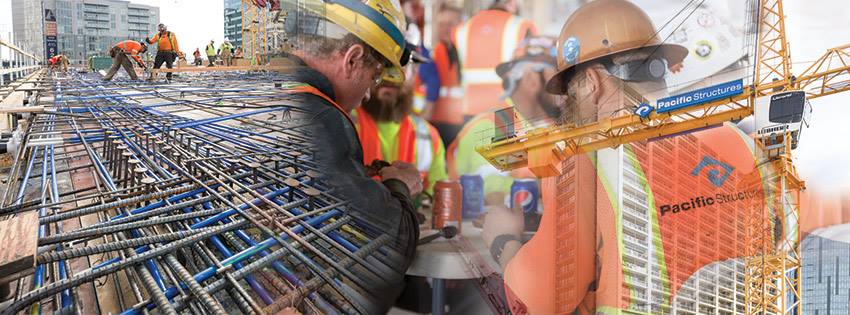 Pacific Structures Logos & Brand Assets | Brandfetch