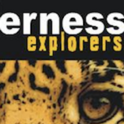 Brandfetch | Wilderness Explorers Logos & Brand Assets