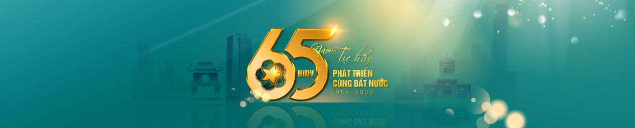 BIDV Logo & Brand Assets (SVG, PNG and vector) - Brandfetch