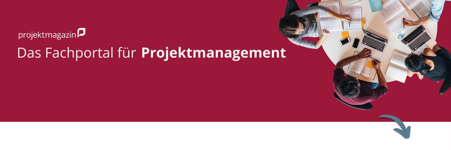 Brandfetch | projektmagazin.de Logos & Brand Assets