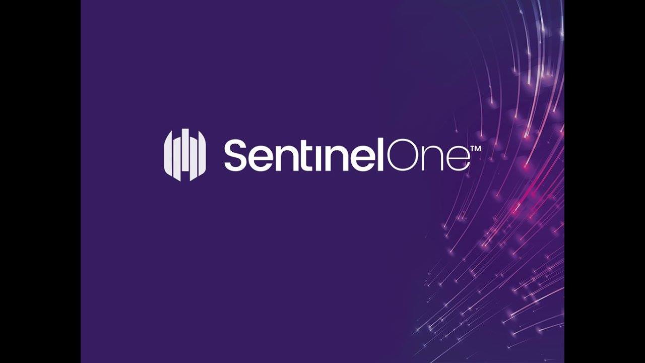 SentinelOne Logos & Brand Assets | Brandfetch