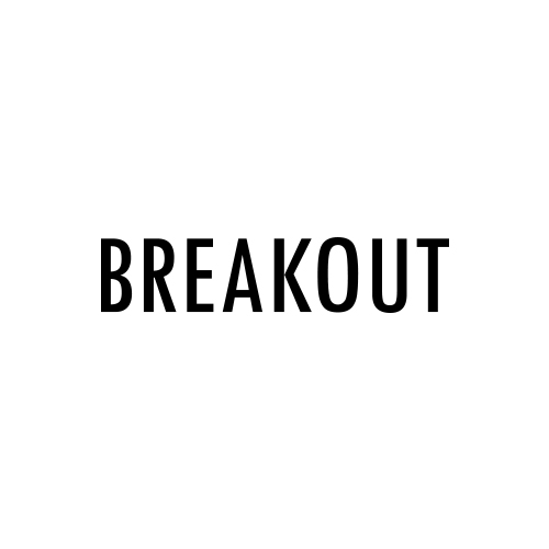 Brandfetch | Breakout Logos & Brand Assets
