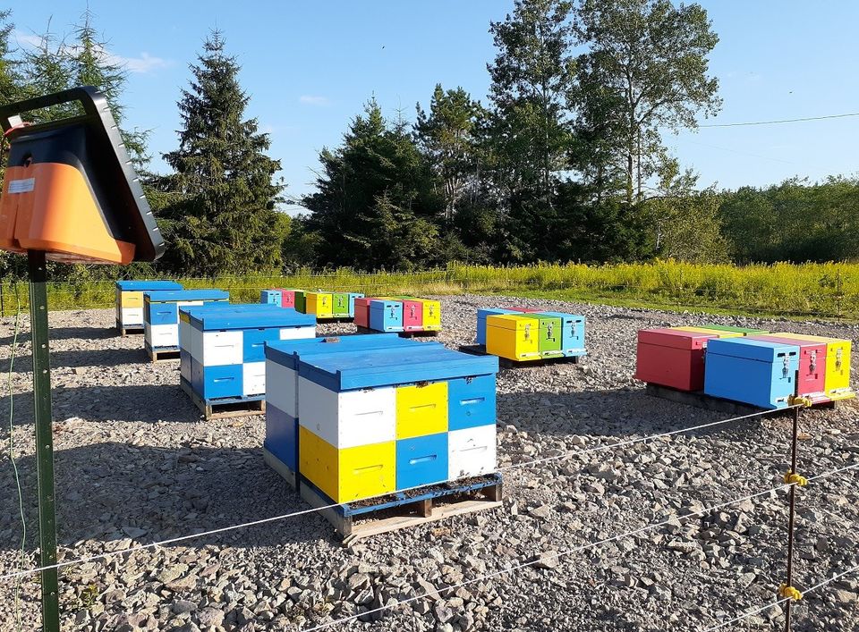 Brandfetch | Cornect Family Farm Logos & Brand Assets