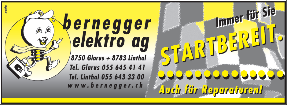 Brandfetch | Bernegger Elektro Logos & Brand Assets