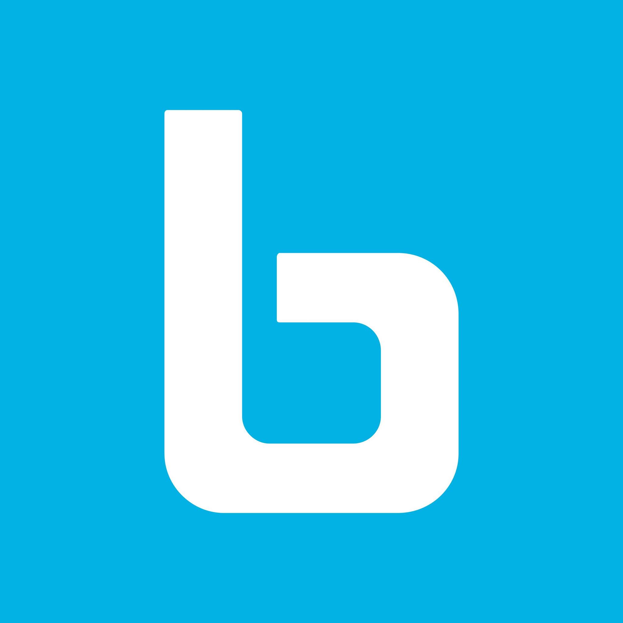 Burn Boot Camp Logo & Brand Assets (SVG, PNG and vector) - Brandfetch