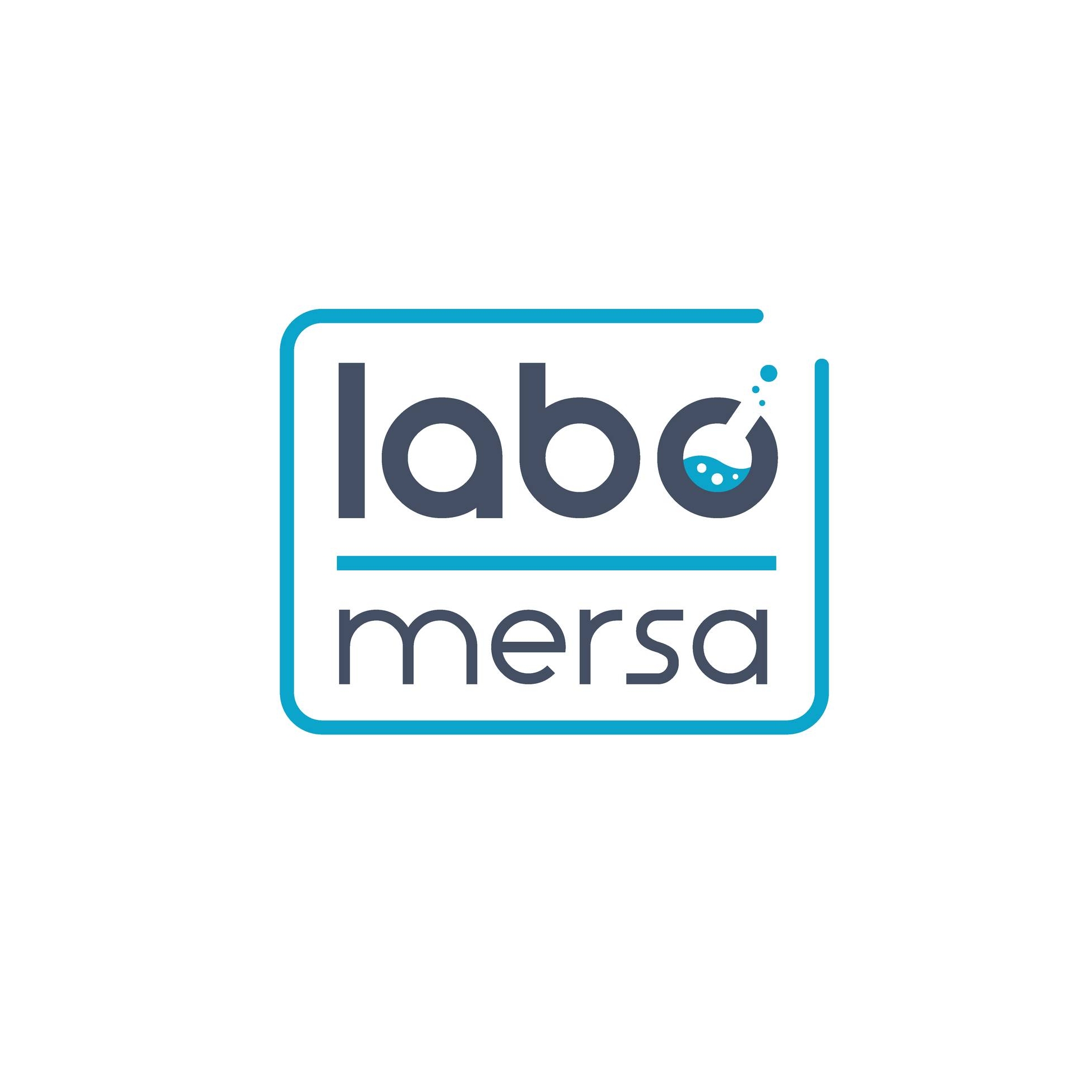 Labomersa Logo & Brand Assets (SVG, PNG and vector) - Brandfetch