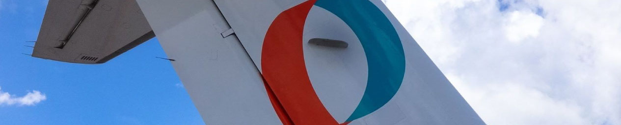 Fly Allways Logo & Brand Assets (SVG, PNG and vector) - Brandfetch