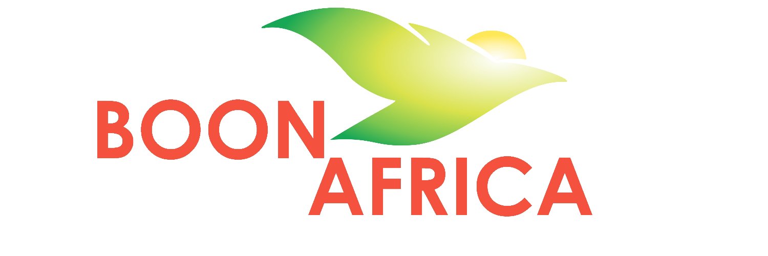 Brandfetch | Boon Africa Logos & Brand Assets