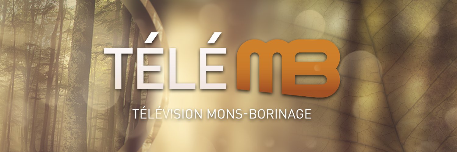 Télé MB Logo & Brand Assets (SVG, PNG and vector) - Brandfetch