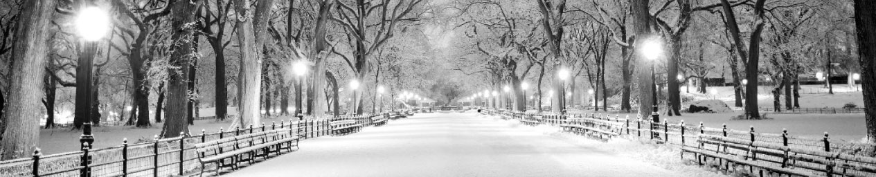 Canon Logo & Brand Assets (SVG, PNG and vector) - Brandfetch