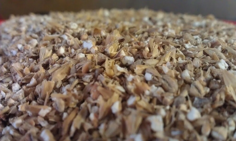 The Oak Brewery Logo & Brand Assets (SVG, PNG and vector) - Brandfetch