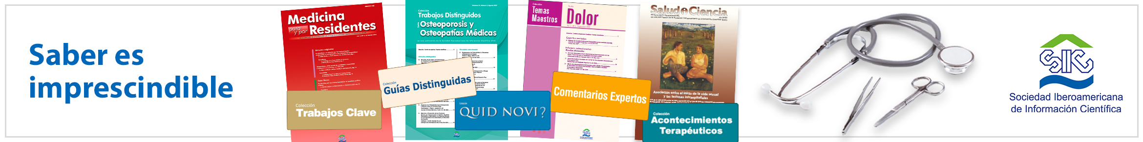 Brandfetch | SIIC Logos & Brand Assets