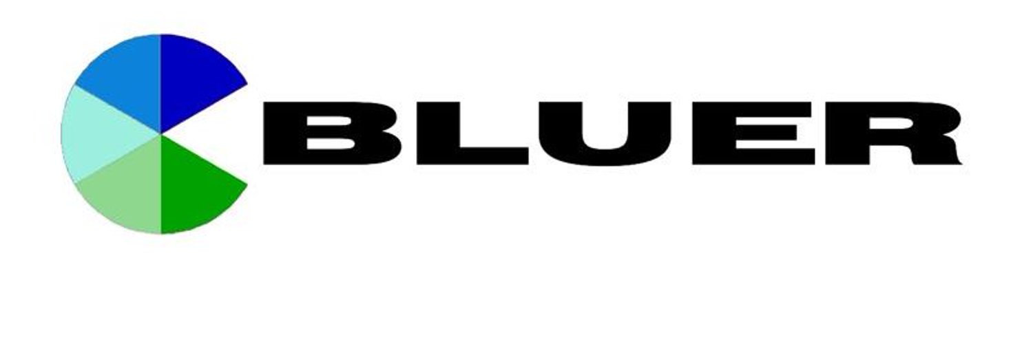 Brandfetch | BLUER GROUP Logos & Brand Assets