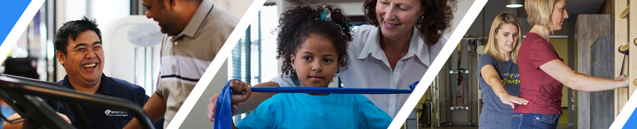 WebPT Logo & Brand Assets (SVG, PNG and vector) - Brandfetch