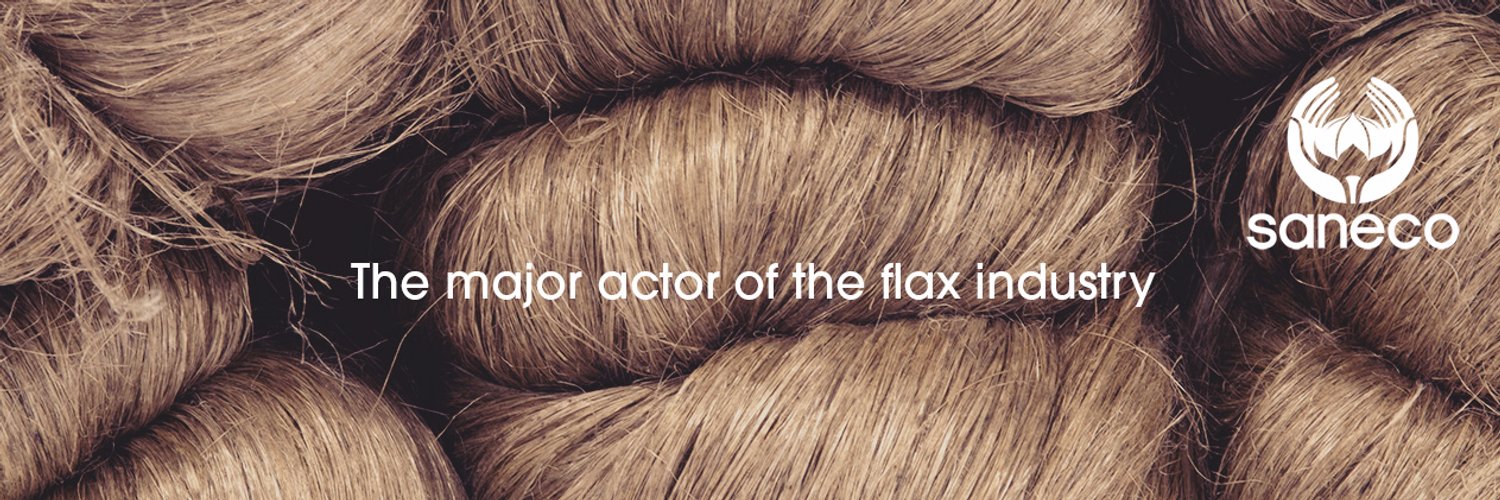 Brandfetch | Saneco Logos & Brand Assets