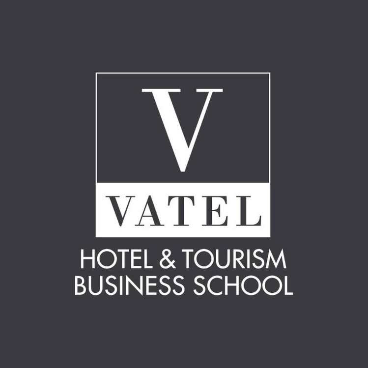 Vatel Madagascar Logo & Brand Assets (SVG, PNG and vector) - Brandfetch