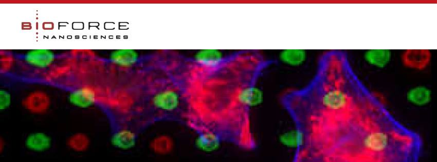 Brandfetch | Bioforce Nanosciences Logos & Brand Assets