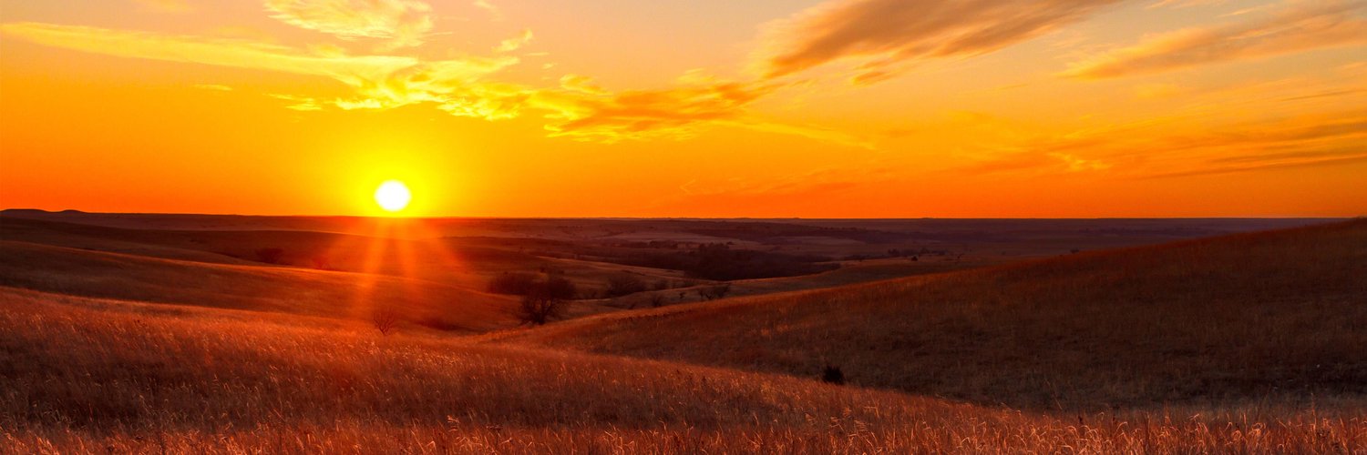 Brandfetch | KS StateBank Logos & Brand Assets