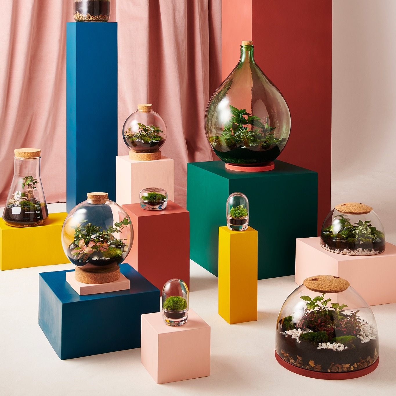 Brandfetch | London Terrariums Logos & Brand Assets