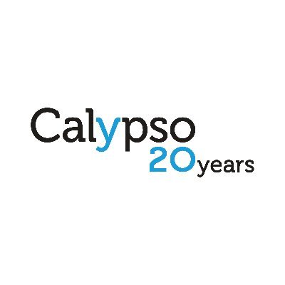 Brandfetch | Calypso Networks Logos & Brand Assets