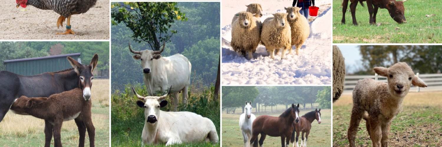 Brandfetch | The Livestock Conservancy Logos & Brand Assets