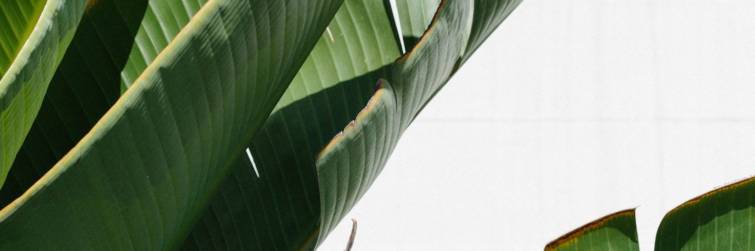 Skin Laundry Logo & Brand Assets (SVG, PNG and vector) - Brandfetch