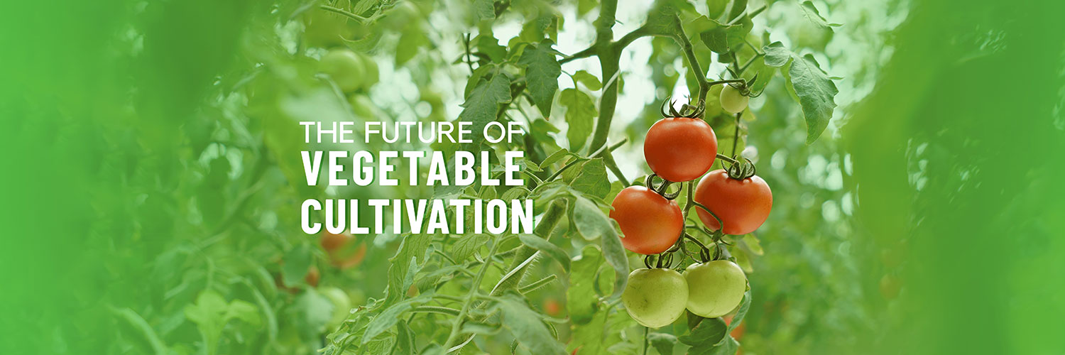 eeki Logo & Brand Assets (SVG, PNG and vector) - Brandfetch