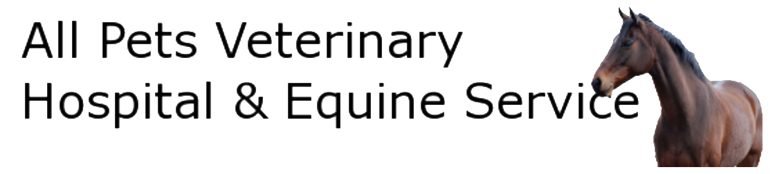 Brandfetch | All Pets Vet Hospital & Equine Service Logos & Brand Assets