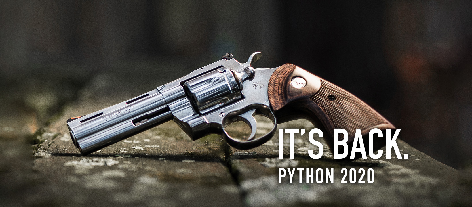 Colt Logo & Brand Assets (SVG, PNG and vector) - Brandfetch