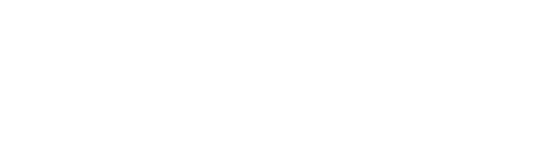 Icon Cro Logo