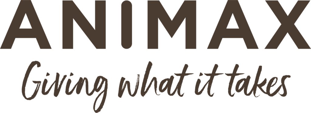 Brandfetch | Animax Limited Logos & Brand Assets