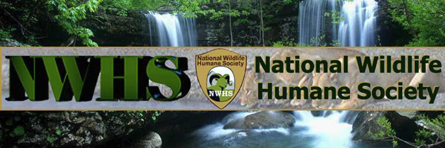 Brandfetch | National Wildlife HS Logos & Brand Assets