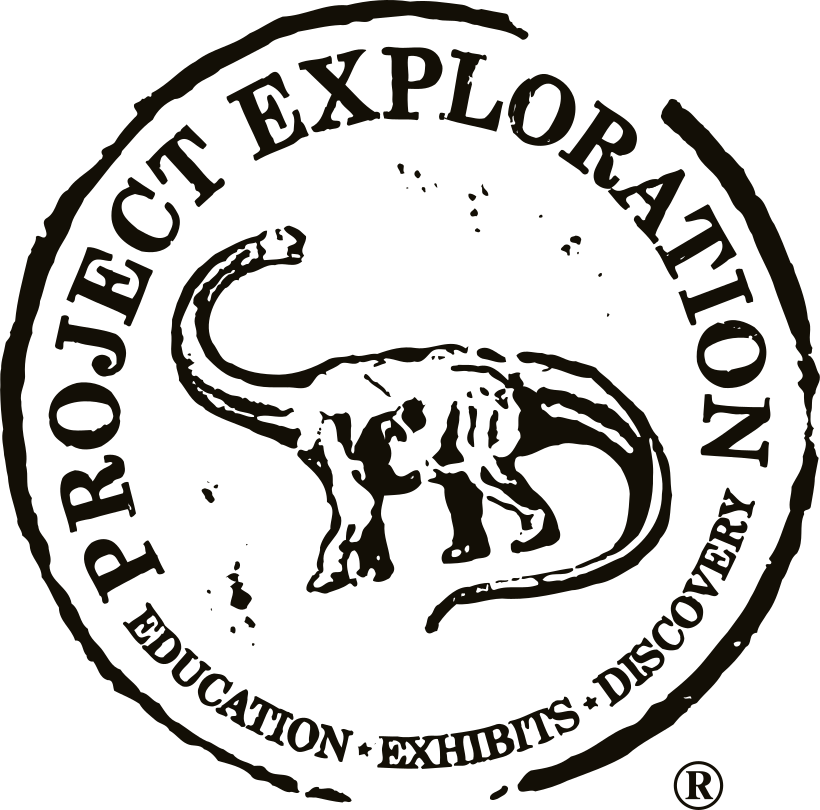 Brandfetch | Project Exploration Logos & Brand Assets