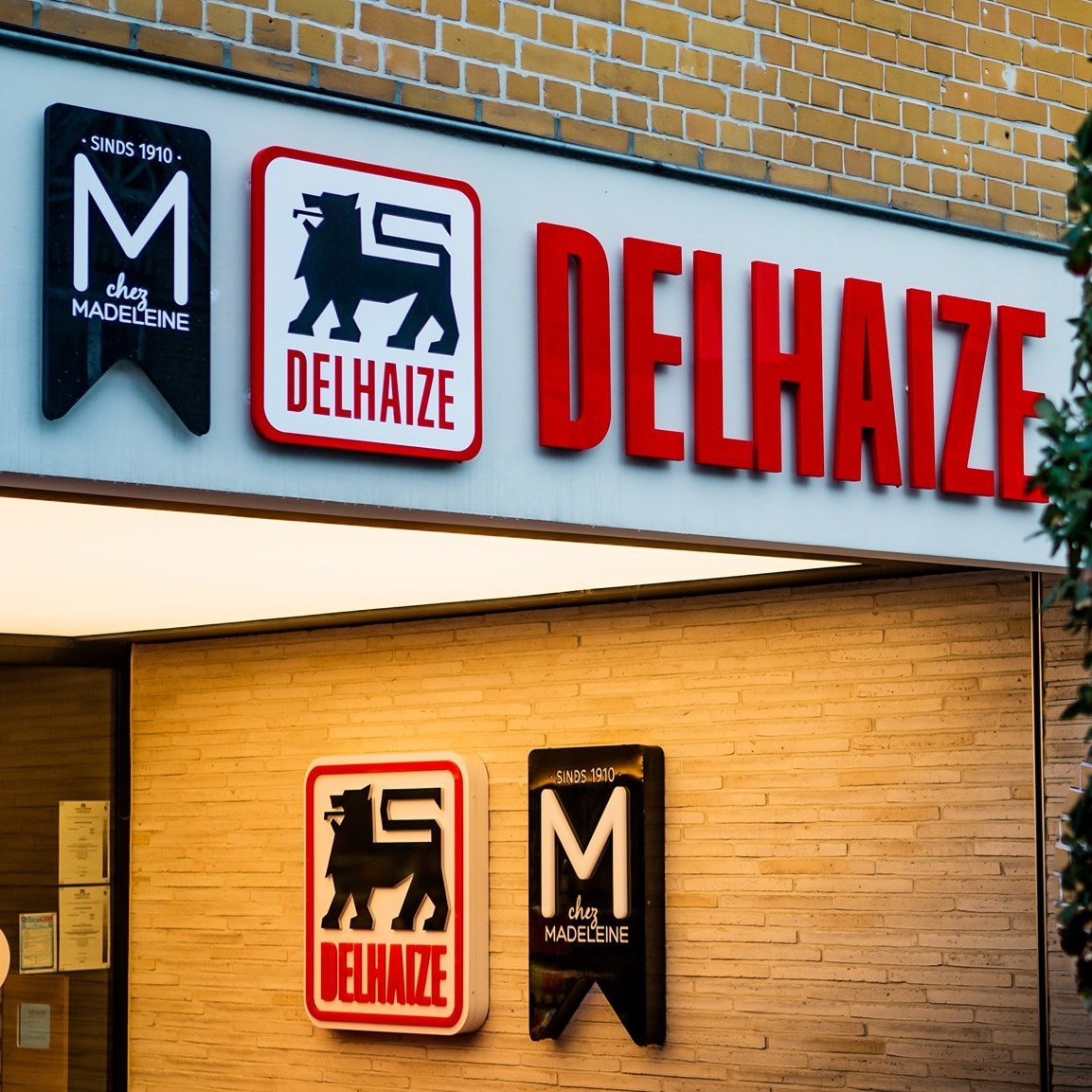 Brandfetch | AD Delhaize De Haan Logos & Brand Assets