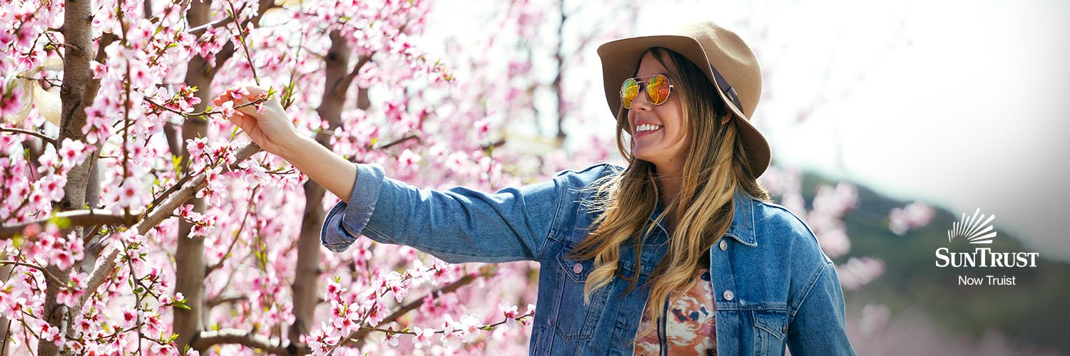 SunTrust Bank Logo & Brand Assets (SVG, PNG and vector) - Brandfetch