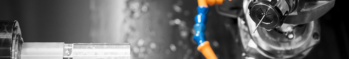 Tamshell Logos & Brand Assets | Brandfetch