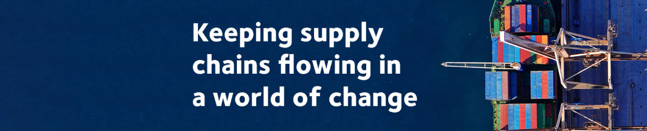 DSV Logos & Brand Assets | Brandfetch