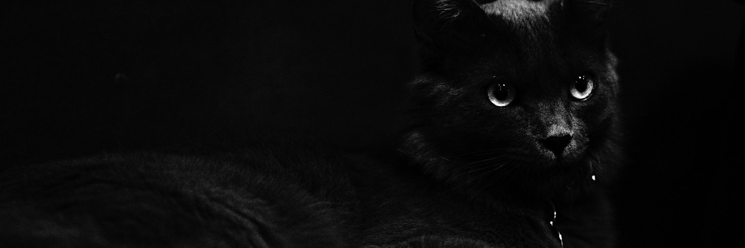 NestJS Logo & Brand Assets (SVG, PNG and vector) - Brandfetch