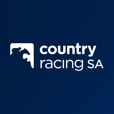 Country Racing SA Logo & Brand Assets (SVG, PNG and vector) - Brandfetch