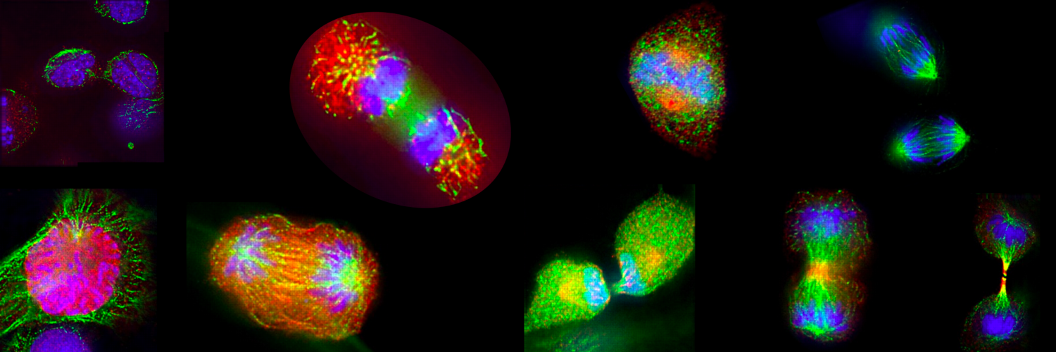 Open Microscopy Environment Logos & Brand Assets | Brandfetch