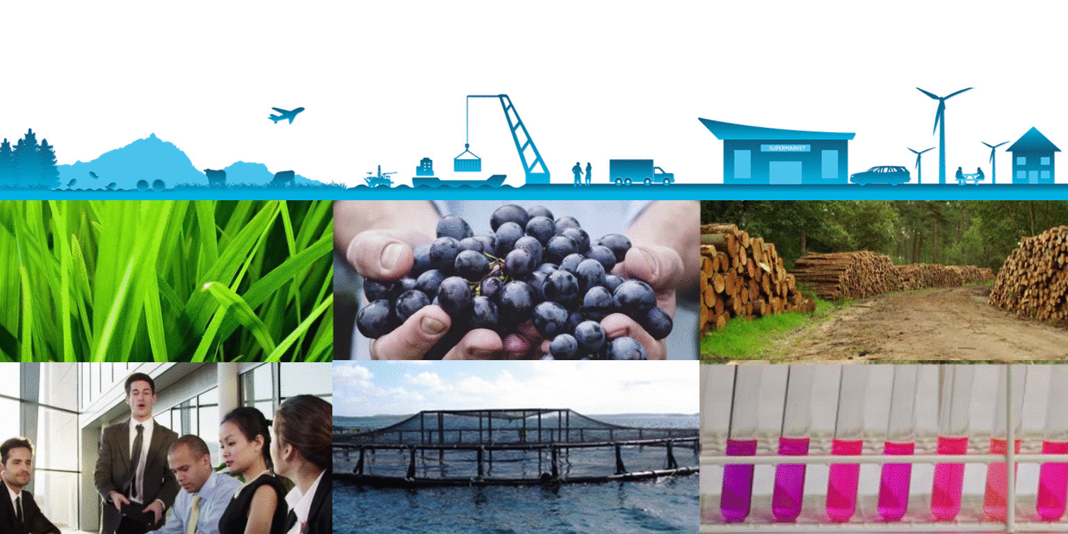 Brandfetch | Control Union Logos & Brand Assets