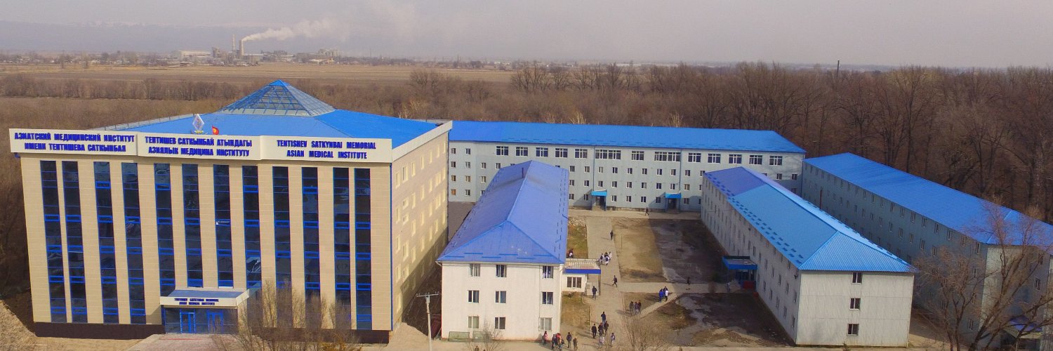 AsMI Logo & Brand Assets (SVG, PNG and vector) - Brandfetch